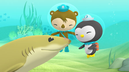 Albino Humpback Whale Octonauts
